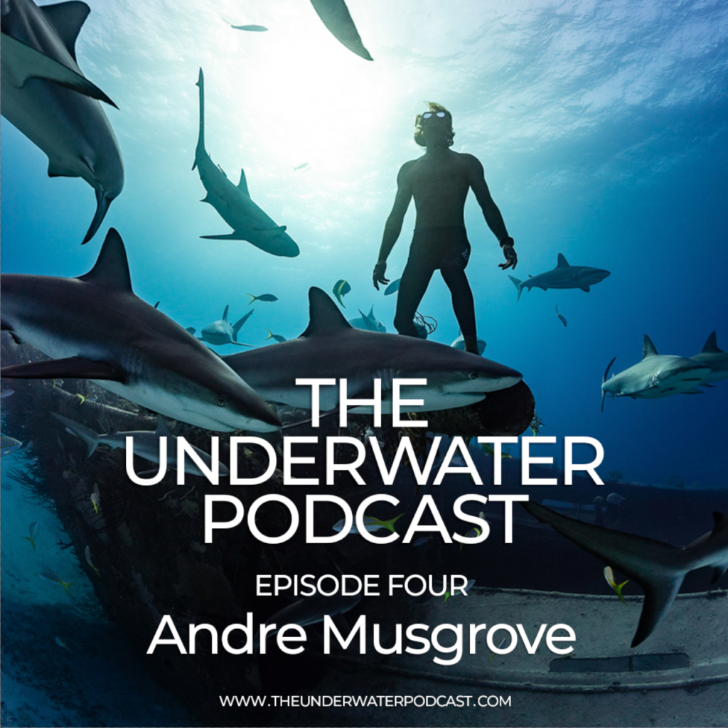 Bahamian Underwater Photographer & Freediver Andre Musgrove - The ...