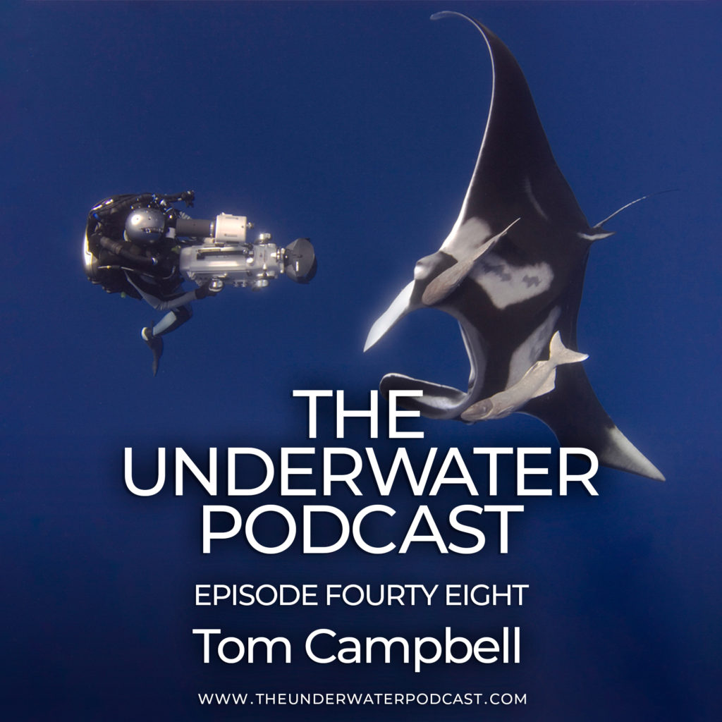 Wildlife Cinematographer Tom Campbell - The Underwater Podcast